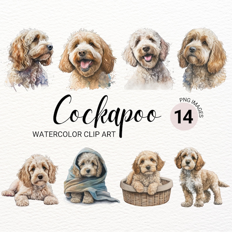Cockapoo Clipart Cute Dog Clipart Dog PNG Watercolor - Etsy UK