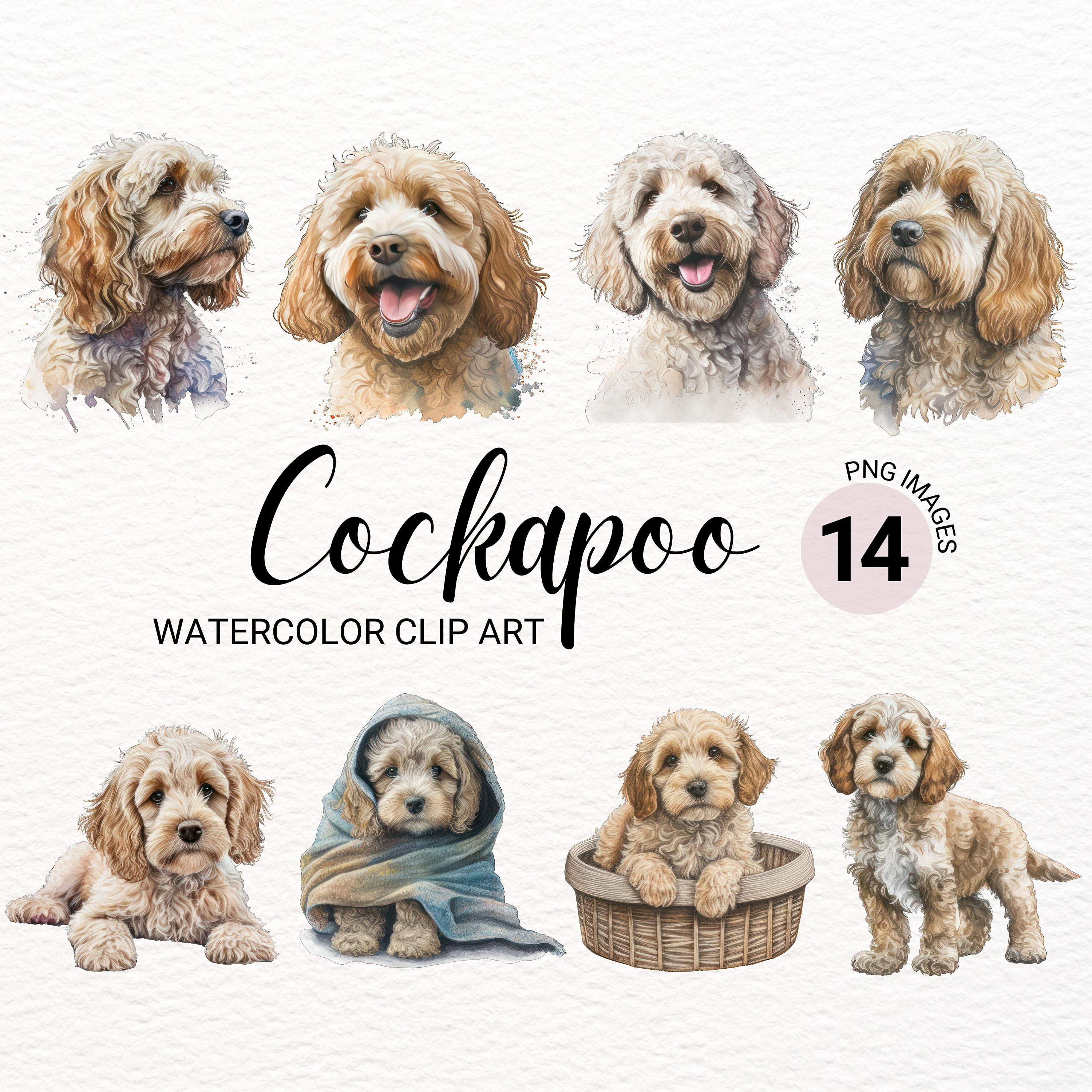 Cockapoo Clipart Cute Dog Clipart Dog PNG Watercolor - Etsy UK