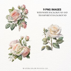 White & Pink Roses Clipart | Floral PNG | Watercolor Roses PNG ...