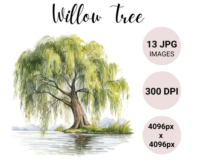 Willow Tree Watercolor Art Print of a Weeping Willow Tree on Willows ...
