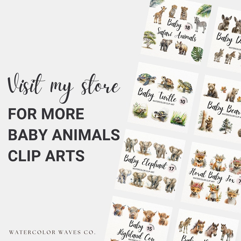 Baby Sea Animals Clipart | Watercolor Ocean PNG | Kawaii Summer Beach ...