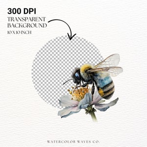 Watercolor Bumblebee Clipart | Bee PNG | Summer Clipart | Honeybee ...
