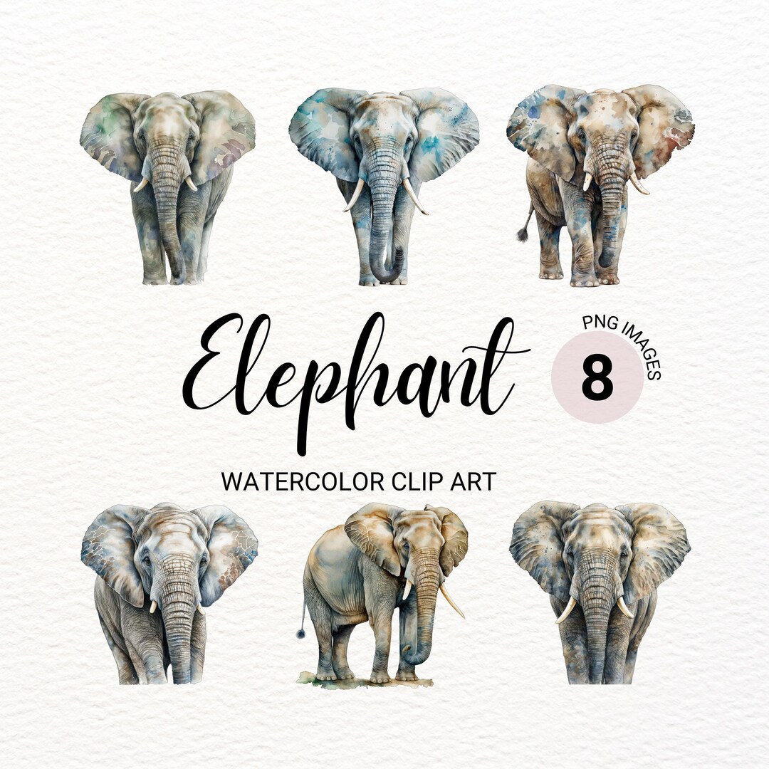 Elephant Clipart | Watercolor Elephant PNG | Safari Animals Clipart ...