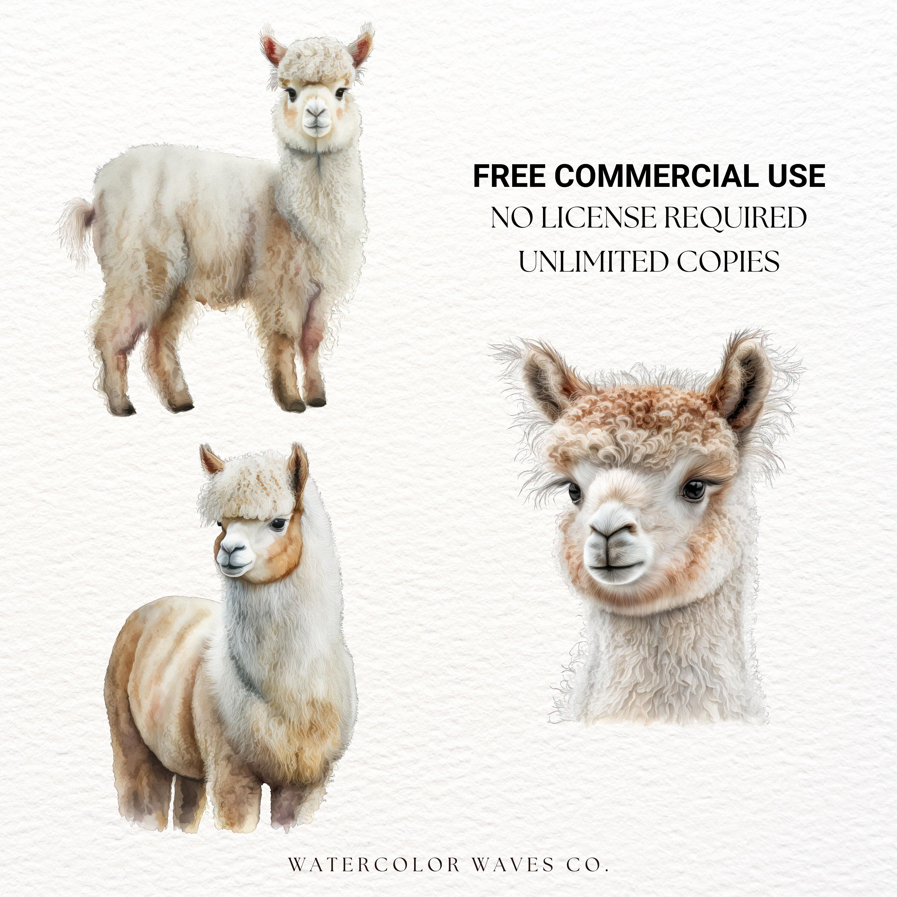 Watercolor Alpaca Clipart Farm Animals PNG Nursery Wall - Etsy UK