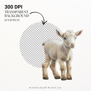 Baby Goat Clipart | Farm Animals PNG | Baby Animals | Watercolor Goat ...