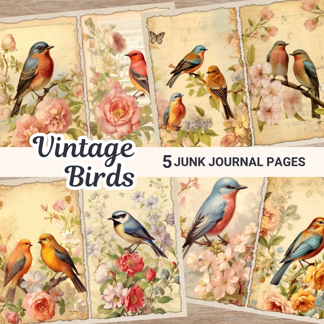 Watercolor Birds Junk Journal Kit Colorful Birds Vintage Journal Pages ...