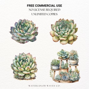 Watercolor Succulent PNG | Succulent Clipart Bundle | Floral PNG ...