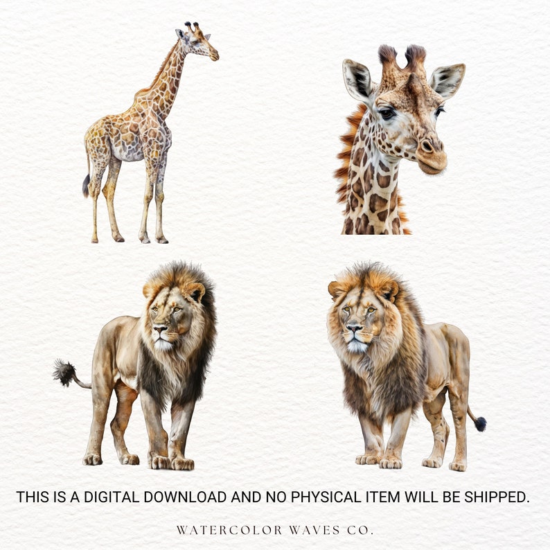 Safari Animals PNG Watercolor Animals Clipart Jungle - Etsy