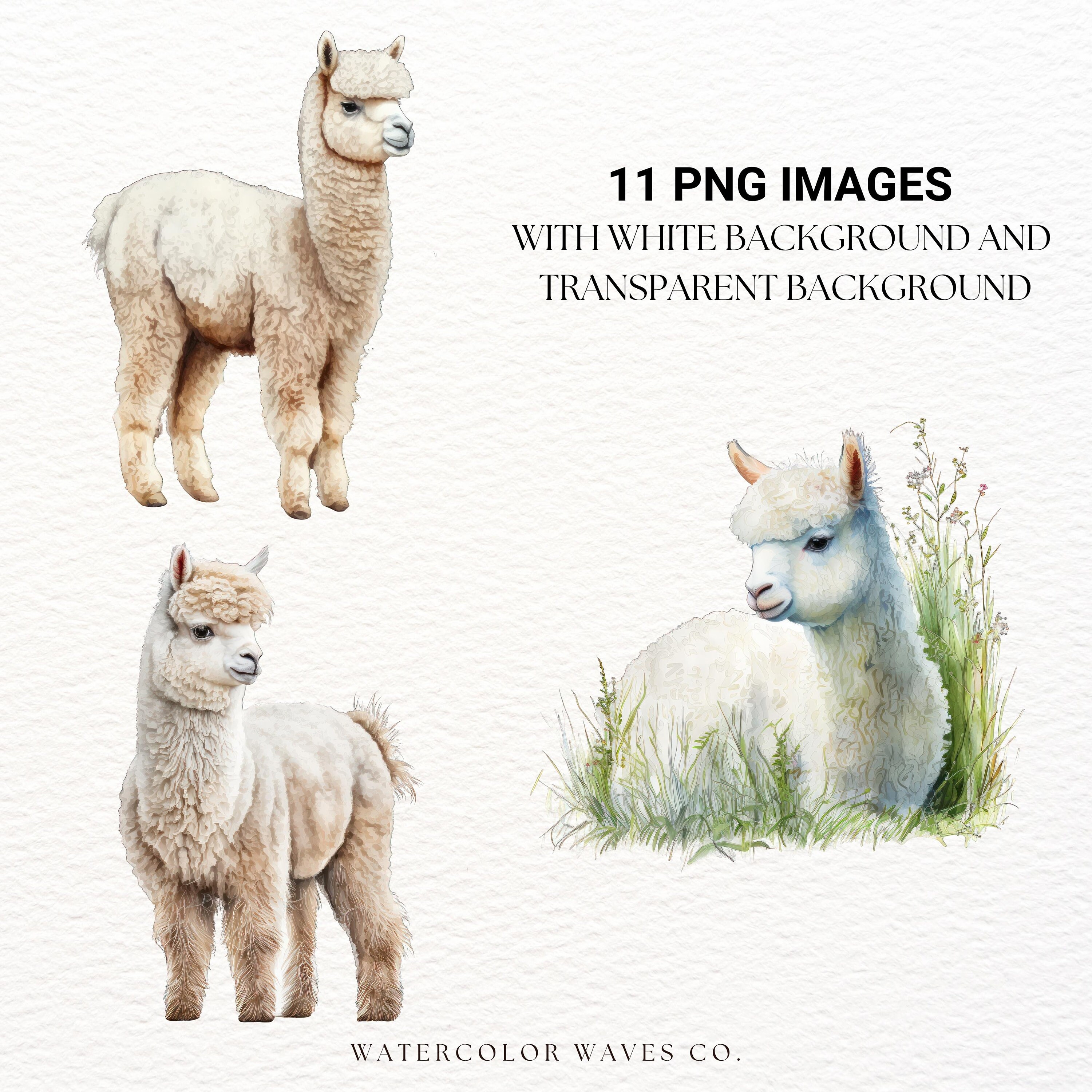 Watercolor Alpaca Clipart Farm Animals PNG Nursery Wall - Etsy UK