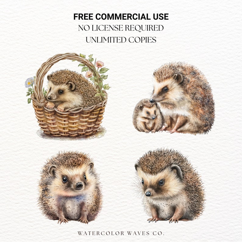 Mom and Baby Hedgehog Clipart | Watercolor Hedgehog PNG | Nursery Wall ...