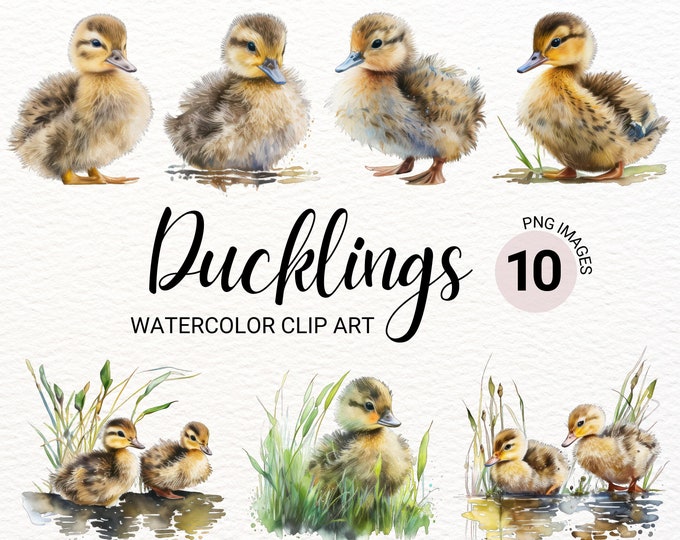 Watercolor Duckling Clipart, Baby Duck Png, Duck Illustration, Duck ...