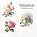 White & Pink Roses Clipart Floral PNG Watercolor Roses PNG Flowers ...