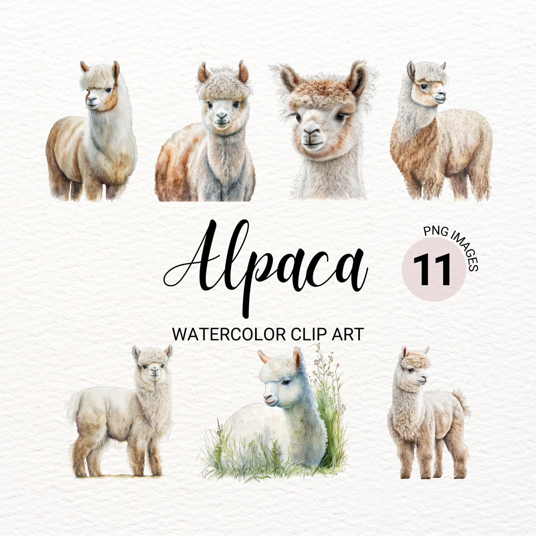 Watercolor Alpaca Clipart | Farm Animals PNG | Nursery Wall Art | Baby ...