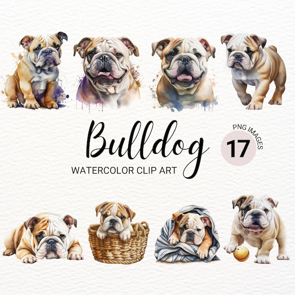 English Bulldog Art - Etsy