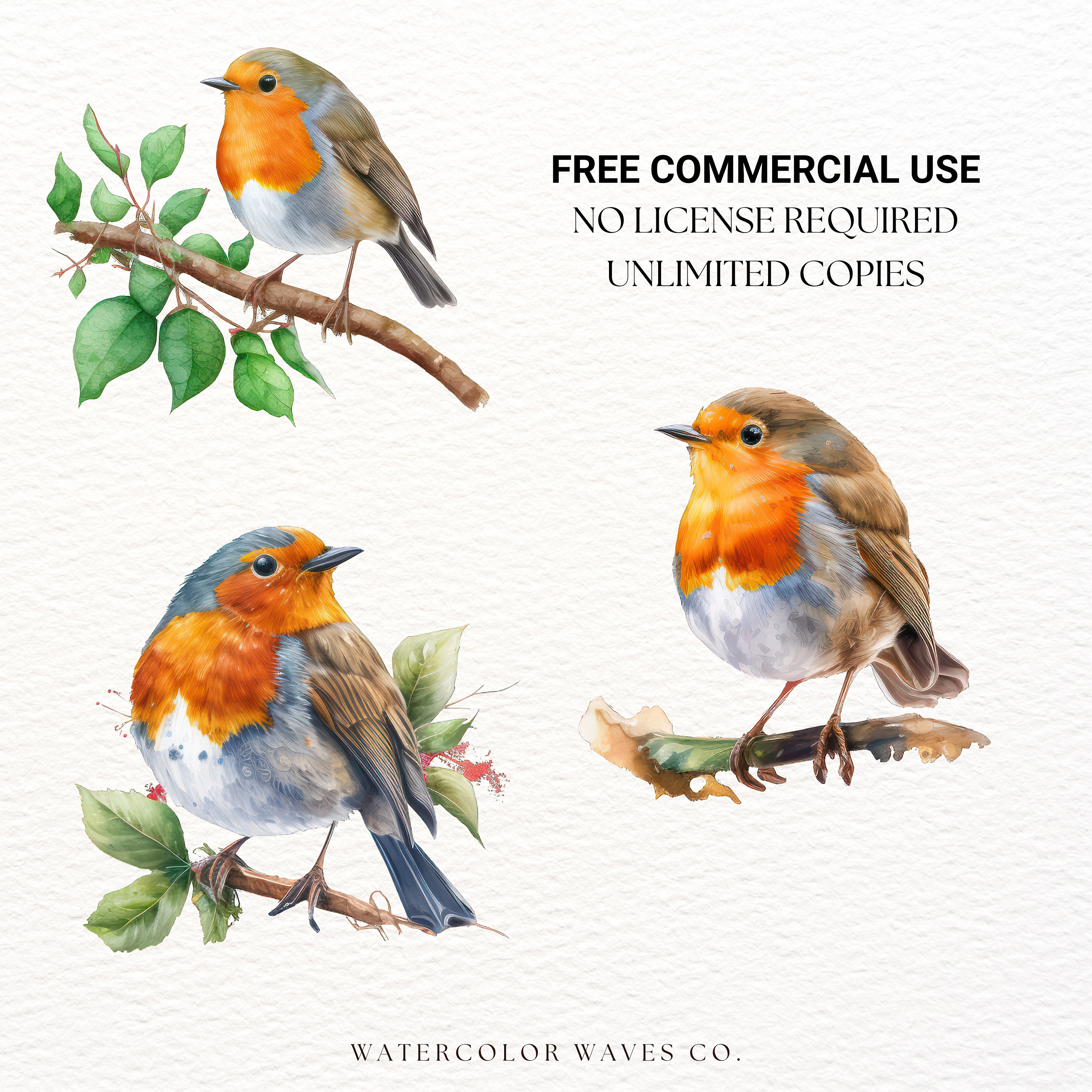 Robin Bird Clipart Robin Bird PNG Watercolor Bird Clipart - Etsy UK