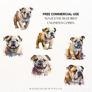 English Bulldog PNG | Bulldog Puppy PNG | Cute Dog Clipart | Dog PNG ...