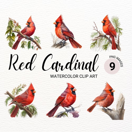 Catholic Cardinal Clipart Outline