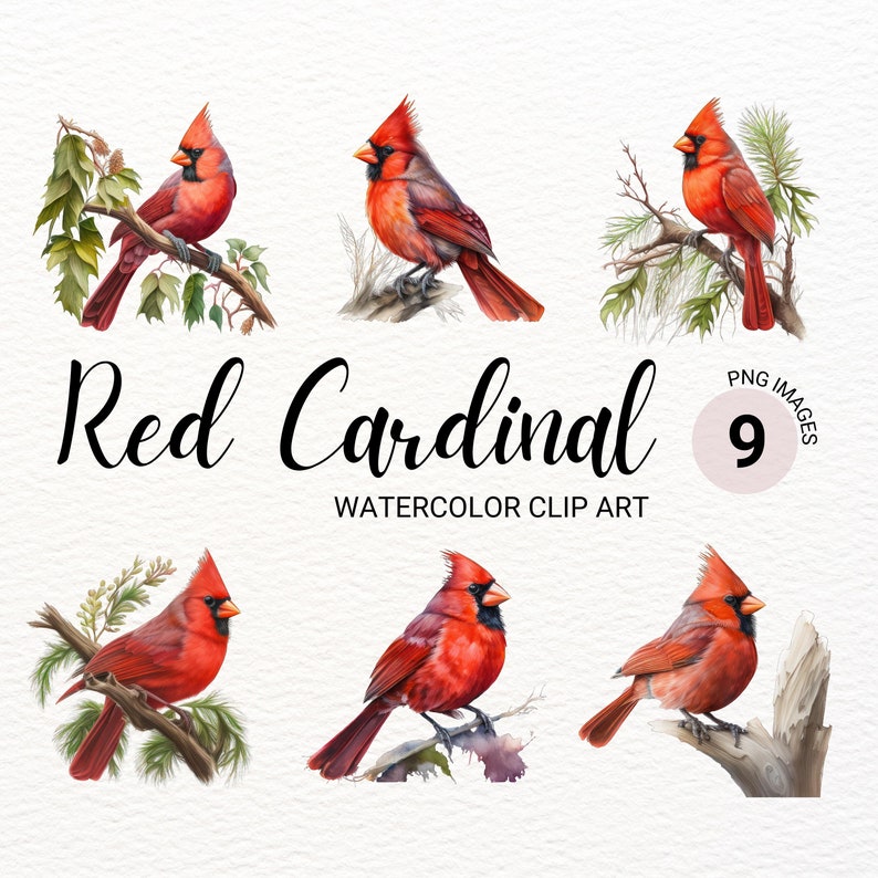 Red Cardinal PNG Red Cardinal Bird Cardinal Clipart - Etsy Canada
