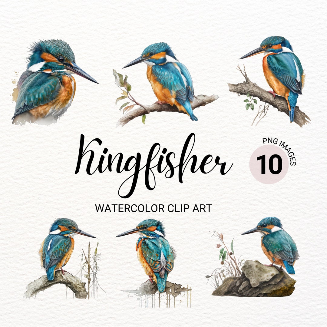 Kingfisher Clipart | Bird Clipart | Watercolor Kingfisher | Cute Blue ...