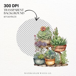 Watercolor Succulent PNG | Succulent Clipart Bundle | Floral PNG ...