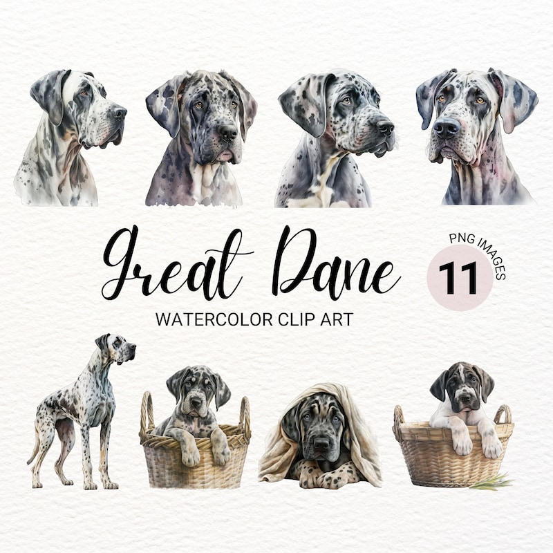 Great Dane Svg - Etsy