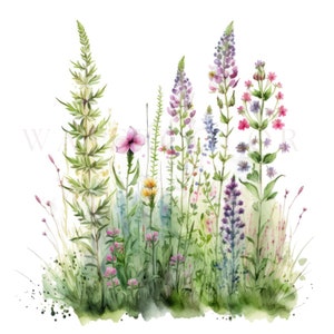 Wildflower Meadow Clipart Bundle | Watercolor Spring Flowers JPG ...