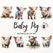 Baby Goat Clipart | Farm Animals PNG | Baby Animals | Watercolor Goat ...