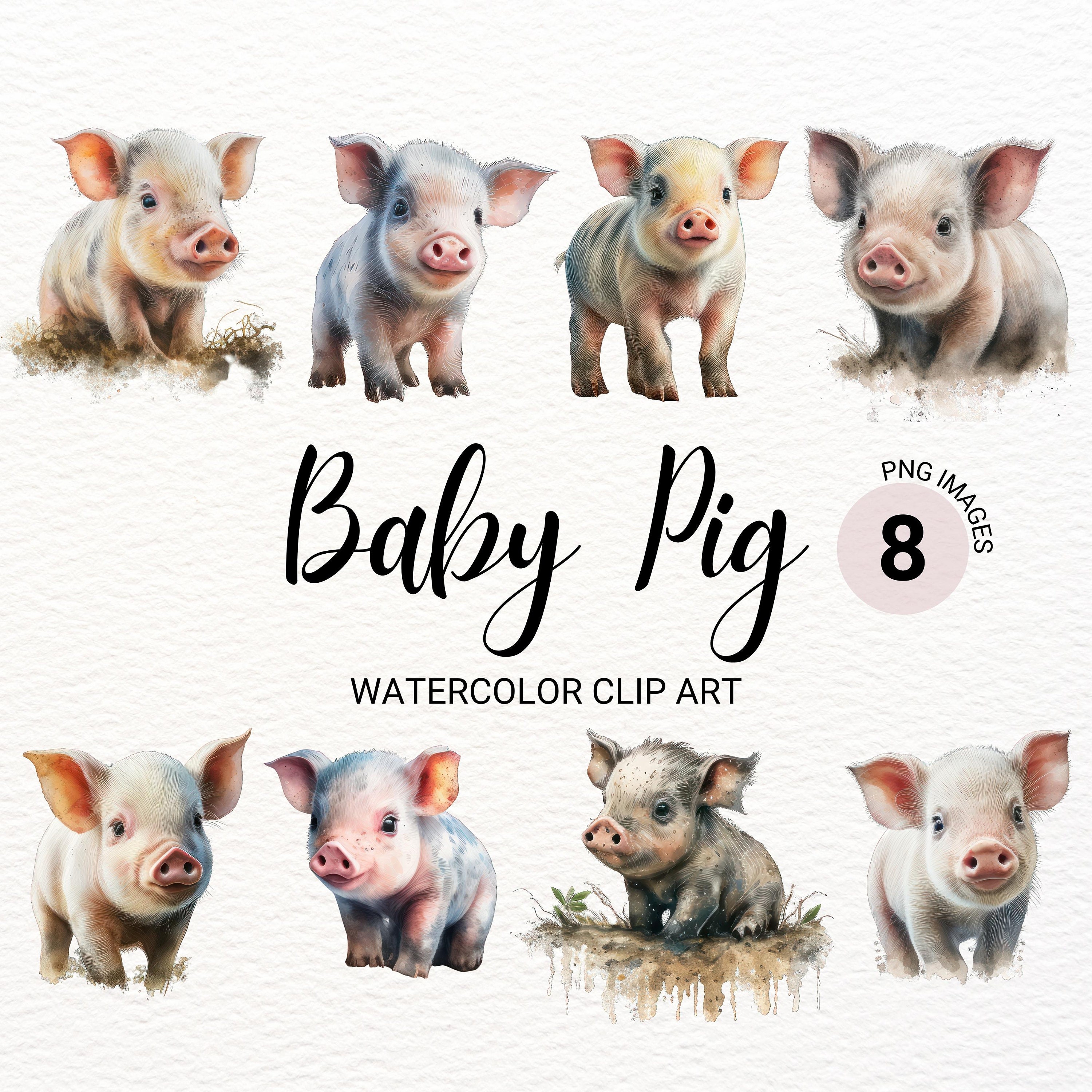 Cute Baby Pigs Clipart