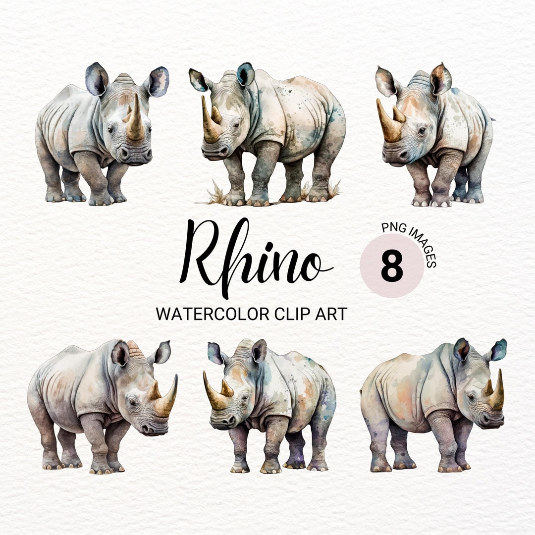 Rhino Clipart Watercolor Rhino PNG Safari Animals Clipart Bundle Junk ...
