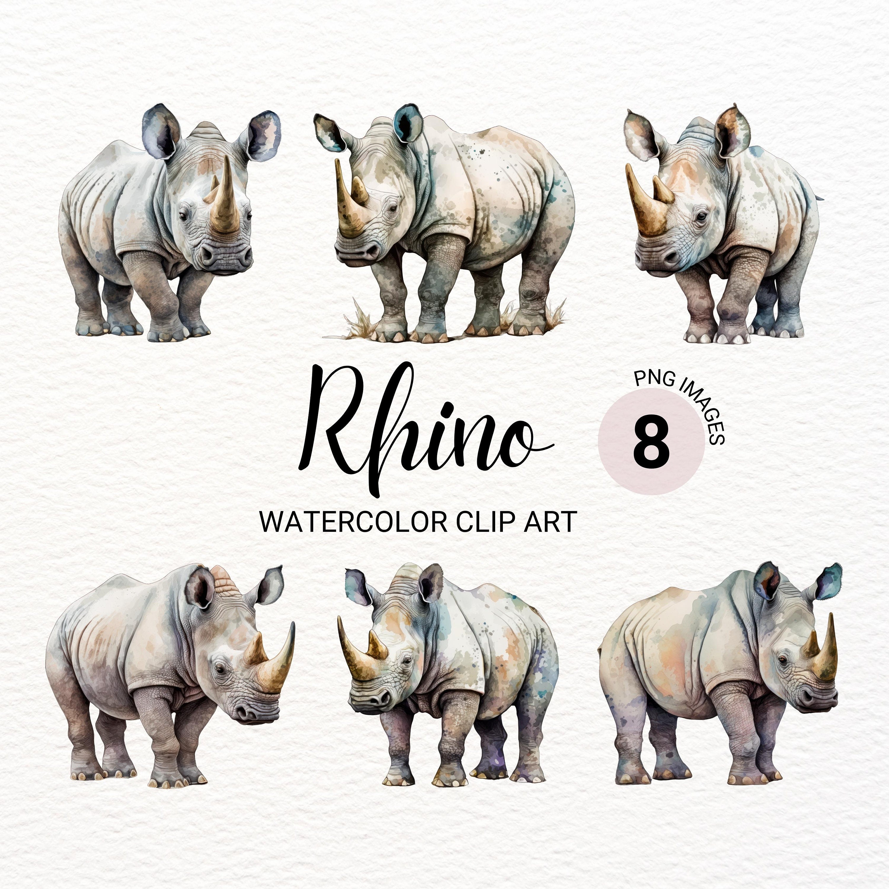 Rhino Clipart | Watercolor Rhino PNG | Safari Animals Clipart Bundle ...