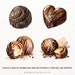 Watercolor Chocolate Clipart | Sweets Clipart Bundle | Kawaii Food ...