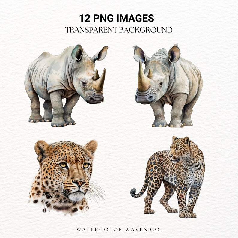 Safari Animals PNG Watercolor Animals Clipart Jungle - Etsy
