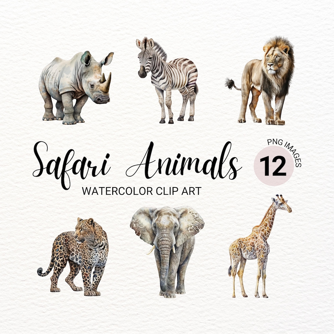 Safari Animals PNG | Watercolor Animals Clipart | Jungle Animals ...