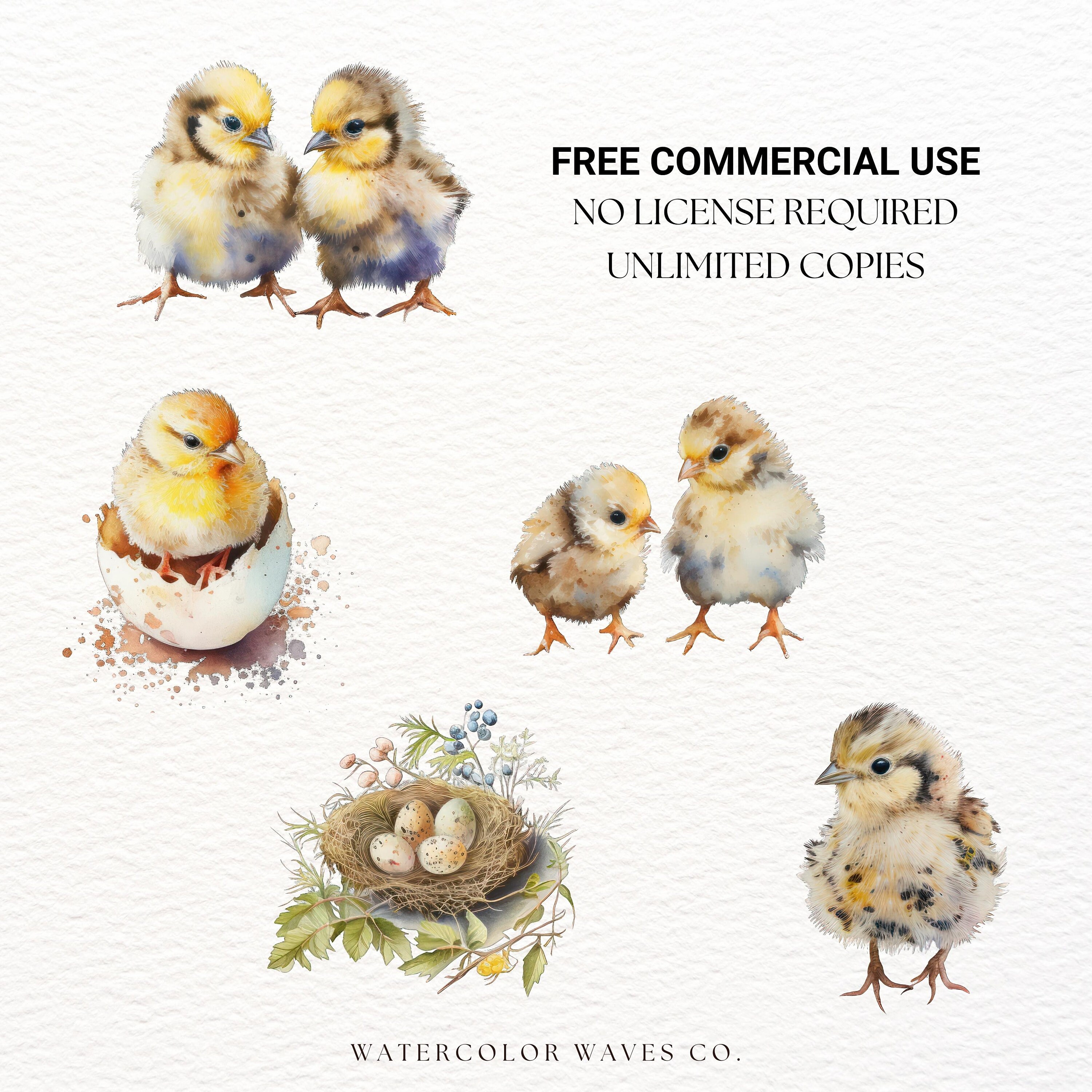 Watercolor Chicken PNG Baby Animals Baby Chick Clipart - Etsy