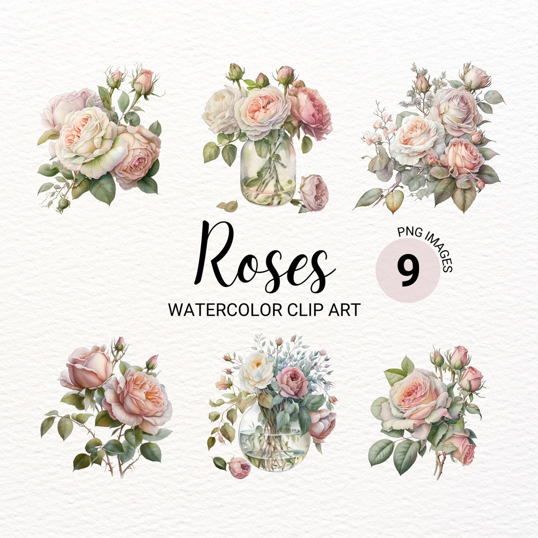 White & Pink Roses Clipart | Floral PNG | Watercolor Roses PNG ...