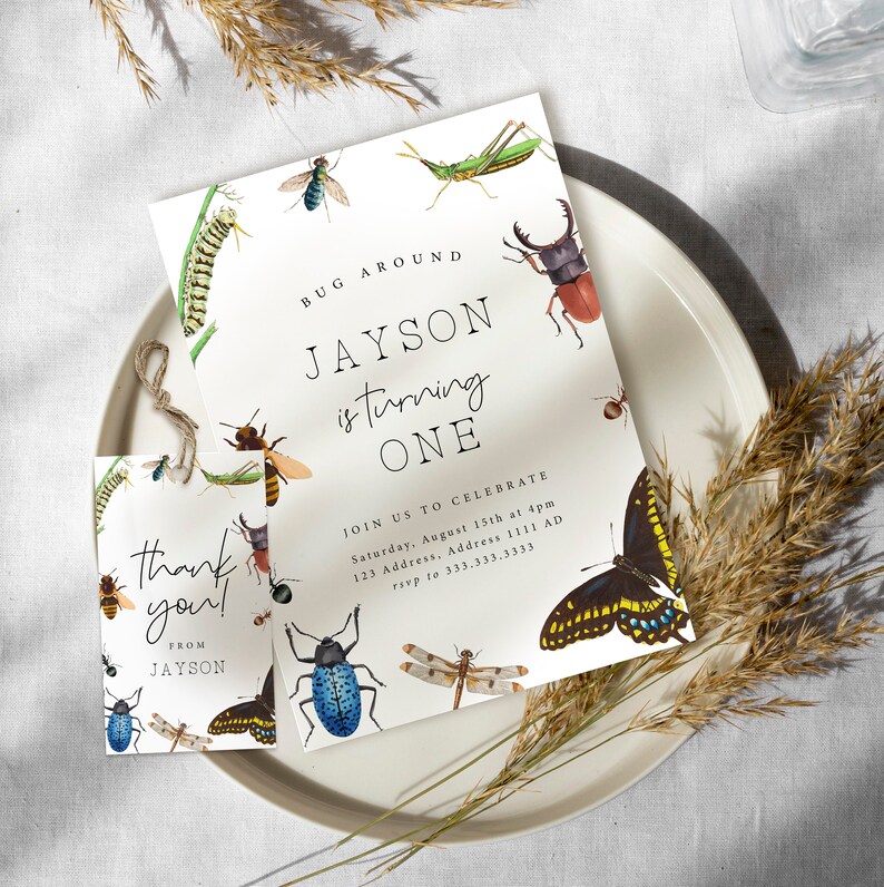 Bug Birthday Invitation, Insect Birthday Invite, Bug Party, Customized ...