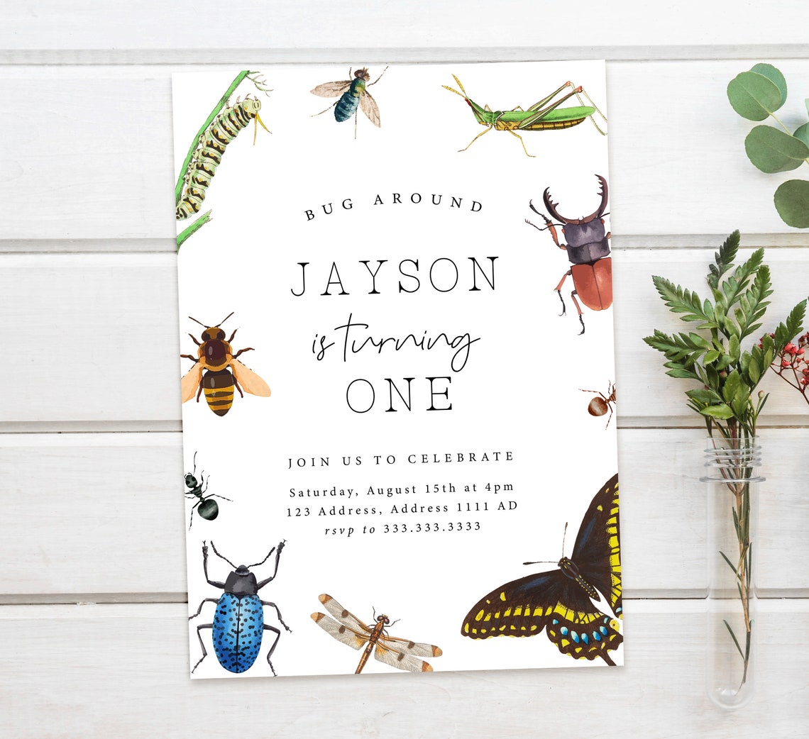 Bug Birthday Invitation, Insect Birthday Invite, Bug Party, Customized ...
