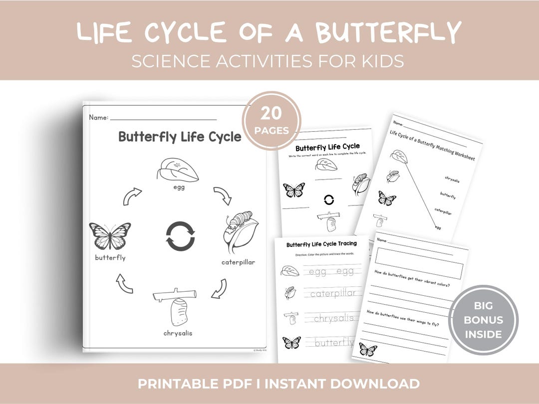 Life Cycle of a Butterfly Worksheets & Craft | Science Activities for ...
