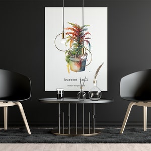 Burros Tail PRINTABLE Minimalist Botanical Watercolor Painting Digital ...