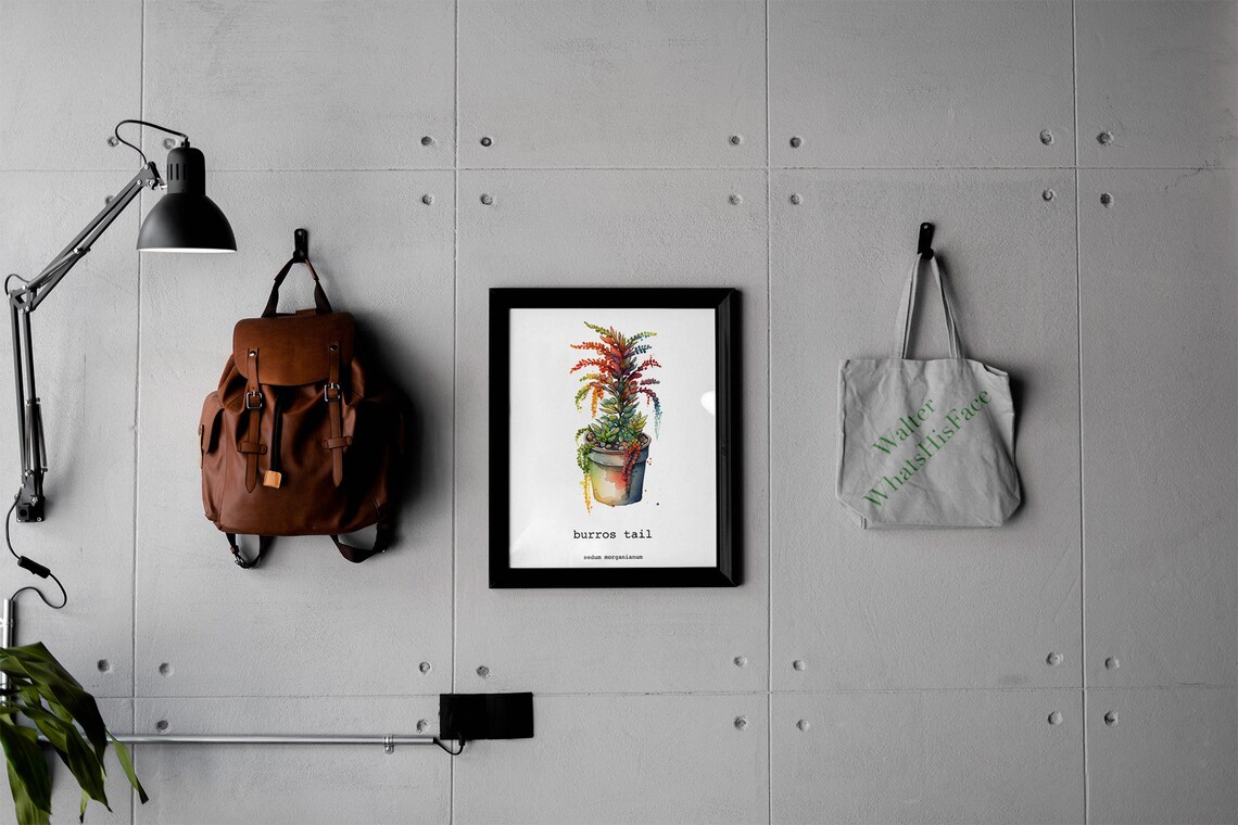 Burros Tail PRINTABLE Minimalist Botanical Watercolor Painting Digital ...