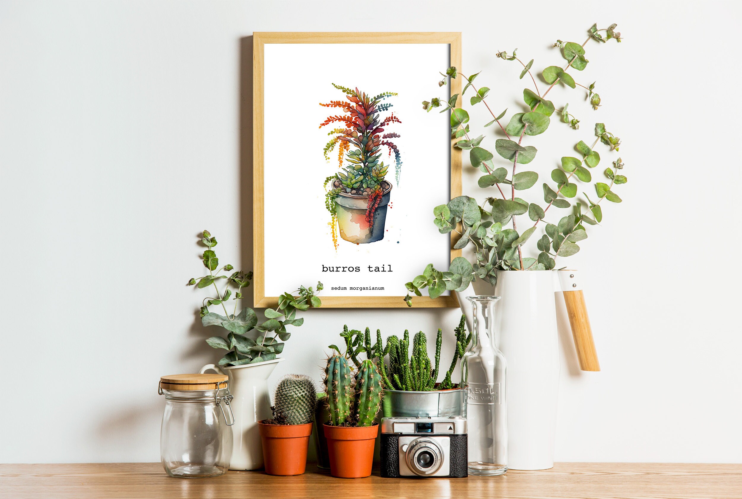 Burros Tail PRINTABLE Minimalist Botanical Watercolor Painting Digital ...