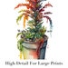 Burros Tail PRINTABLE Minimalist Botanical Watercolor Painting Digital ...