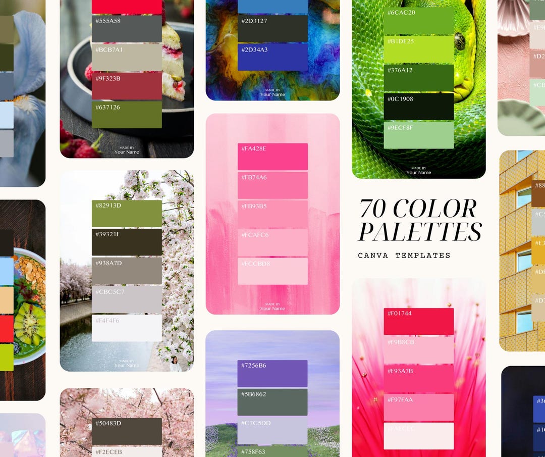 70 Color Palette Templates: Graphic Design Color Inspiration (digital ...