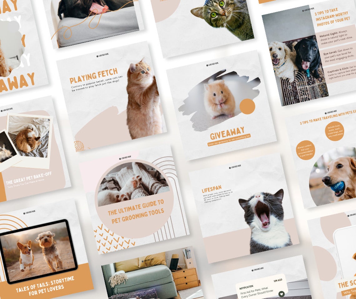 60 Cute & Minimalistic Pet-themed Canva Templates for Pet Services ...