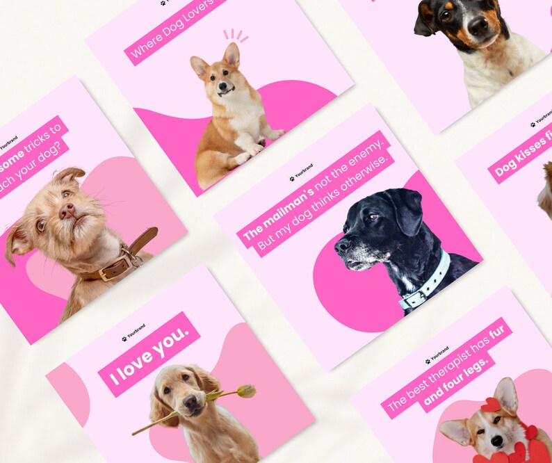 Engaging Dog Instagram Story Template | Dog Grooming Shop Promotion ...