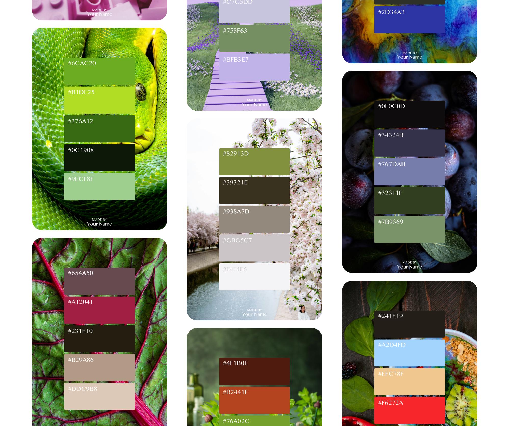 70 Color Palette Templates: Graphic Design Color Inspiration (digital ...