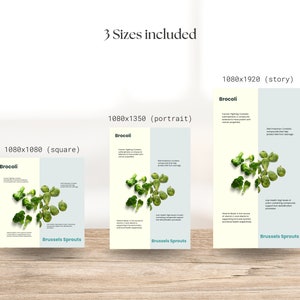 Ingredient Comparison Templates | Bloggers, Foodies, Fitness, Nutrition ...
