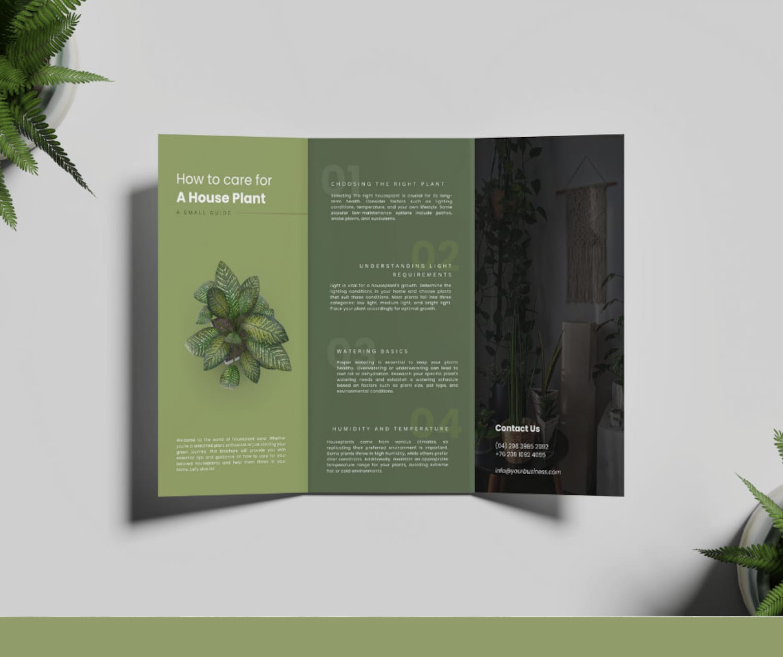 House Plant Care Trifold Brochure, Indoor Gardening Template, Printable ...