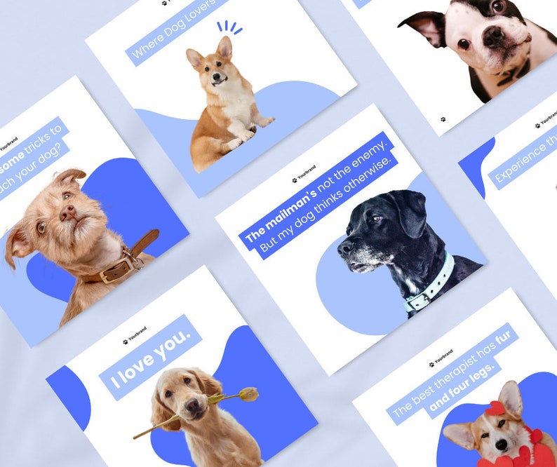 Engaging Dog Instagram Story Template | Dog Grooming Shop Promotion ...