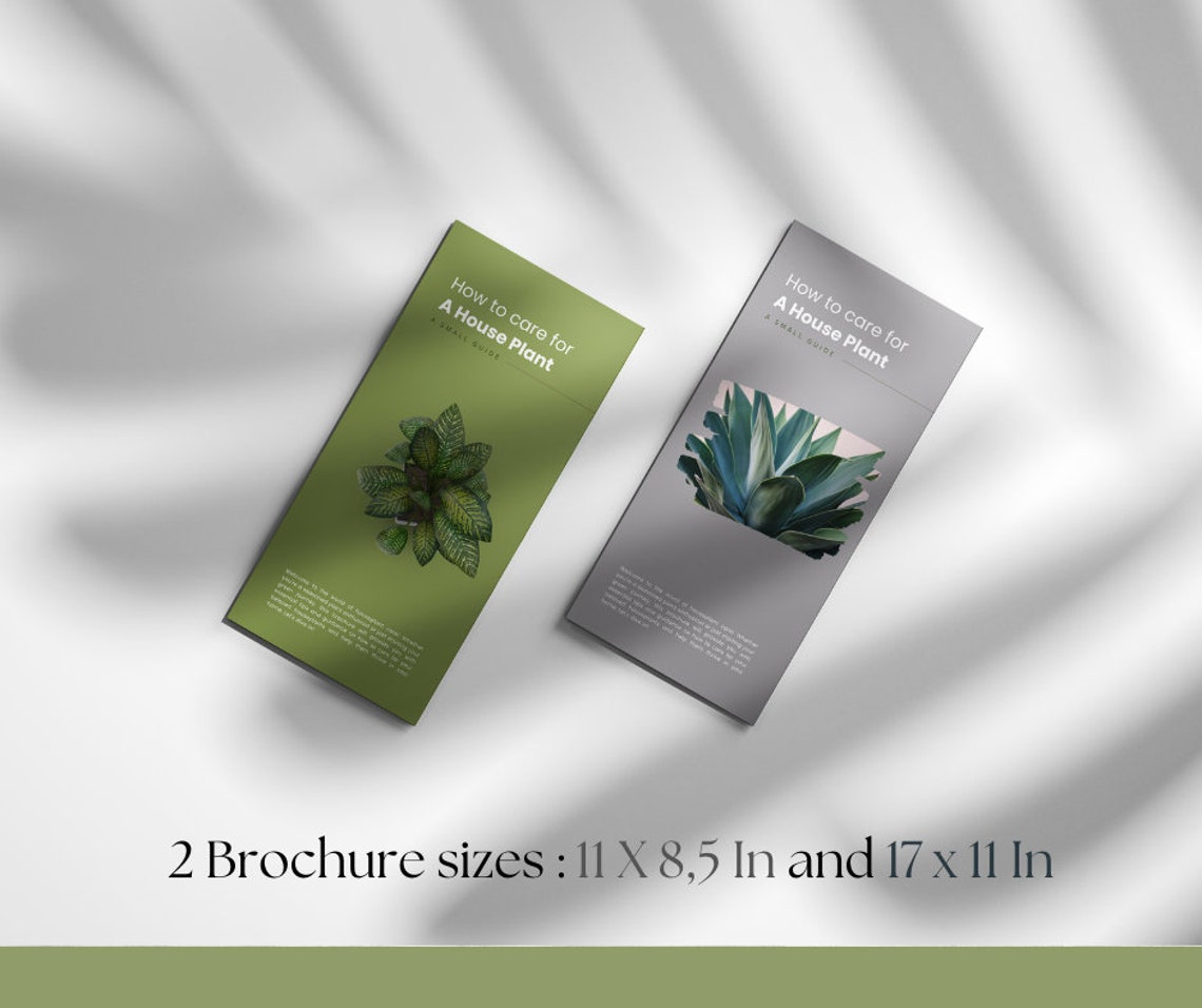 House Plant Care Trifold Brochure, Indoor Gardening Template, Printable ...